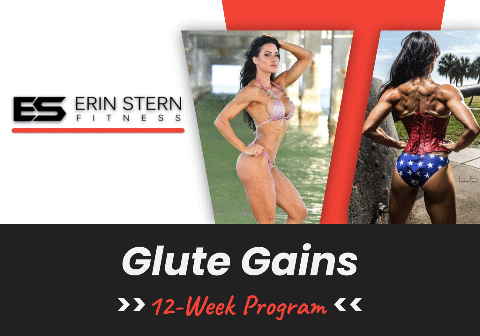 Erin Stern Workout Programs – Strength, Sculpting & Results